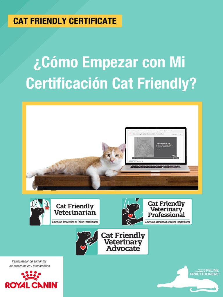 Spanish Cat Friendly Certificate Tutorial RoyalCanin | PDF