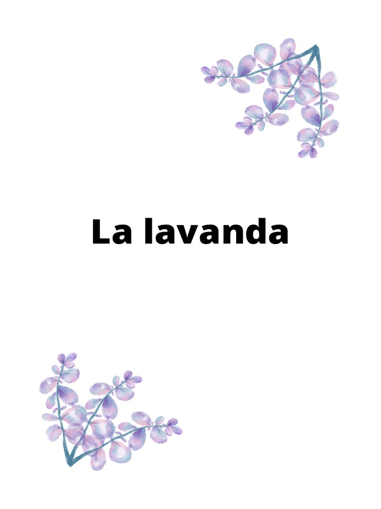La Lavanda | PDF