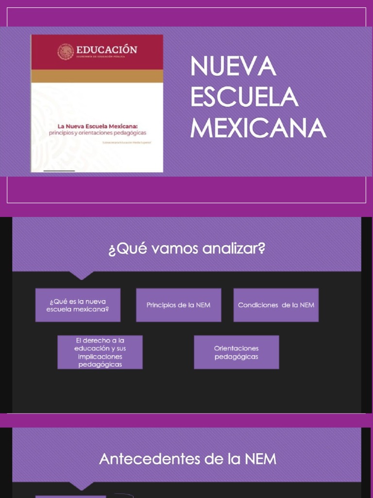 Nueva Escuela Mexicana. Principios y Orientaciones | PDF
