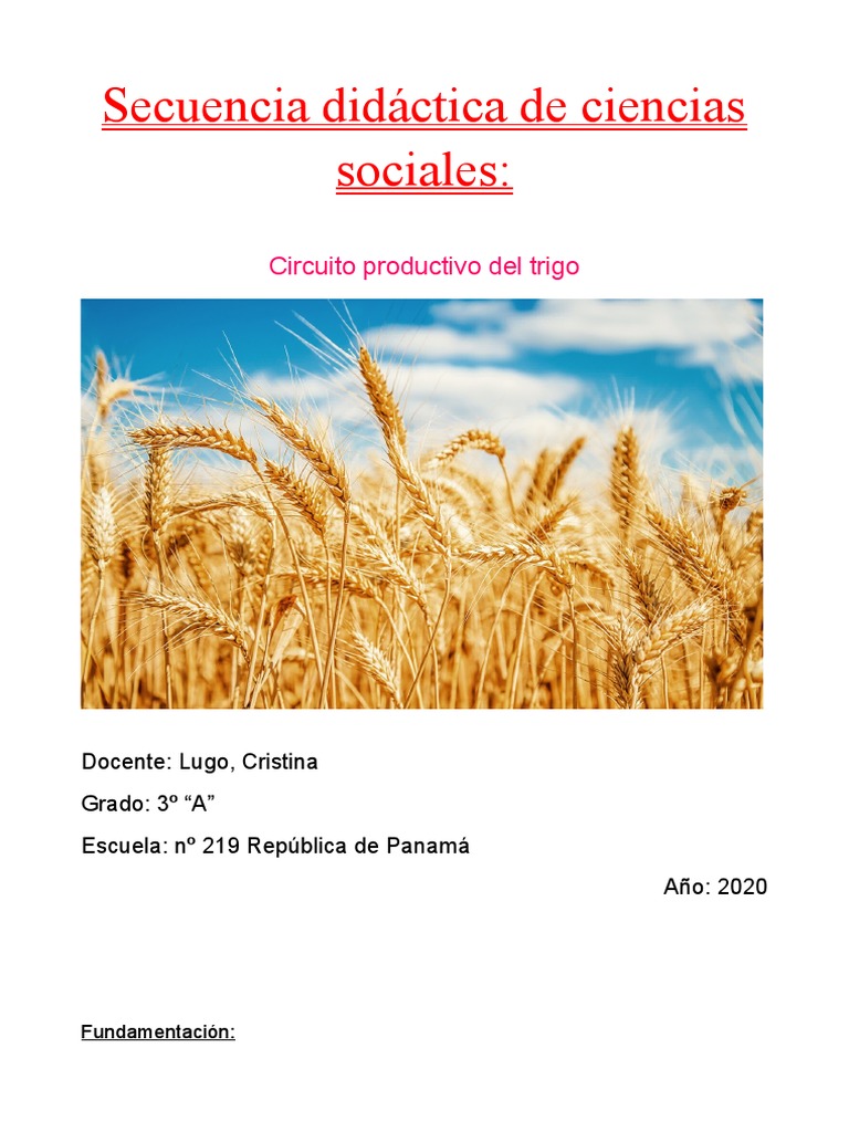 Circuito Productivo Trigo-3º Grado | PDF | Evaluación | Agua
