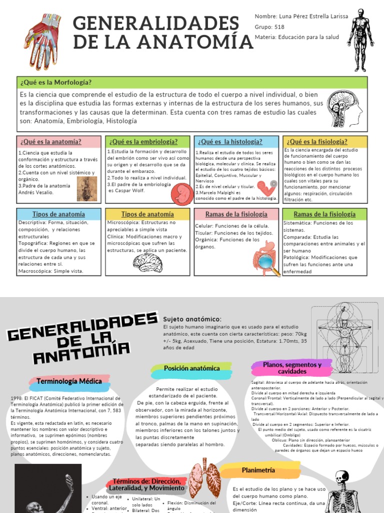 Generalidades de La Anatomía. | PDF | Anatomía | Histología