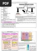 Afiche Protocolo RCP | PDF