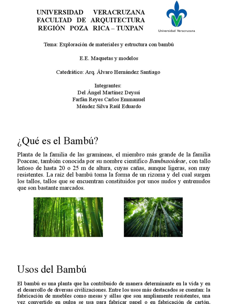 Uso y Estructura del Bambú en Construcción | PDF