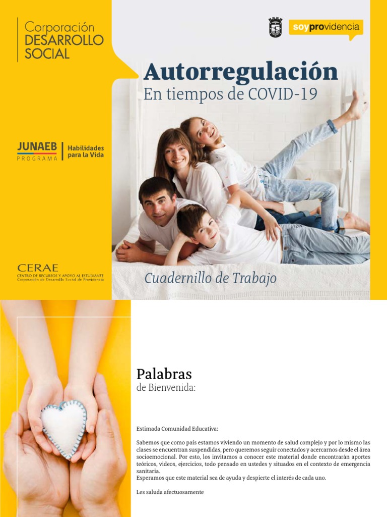Cuadernillo 4 Autorregulacion Pdf Las Emociones Autoorganización
