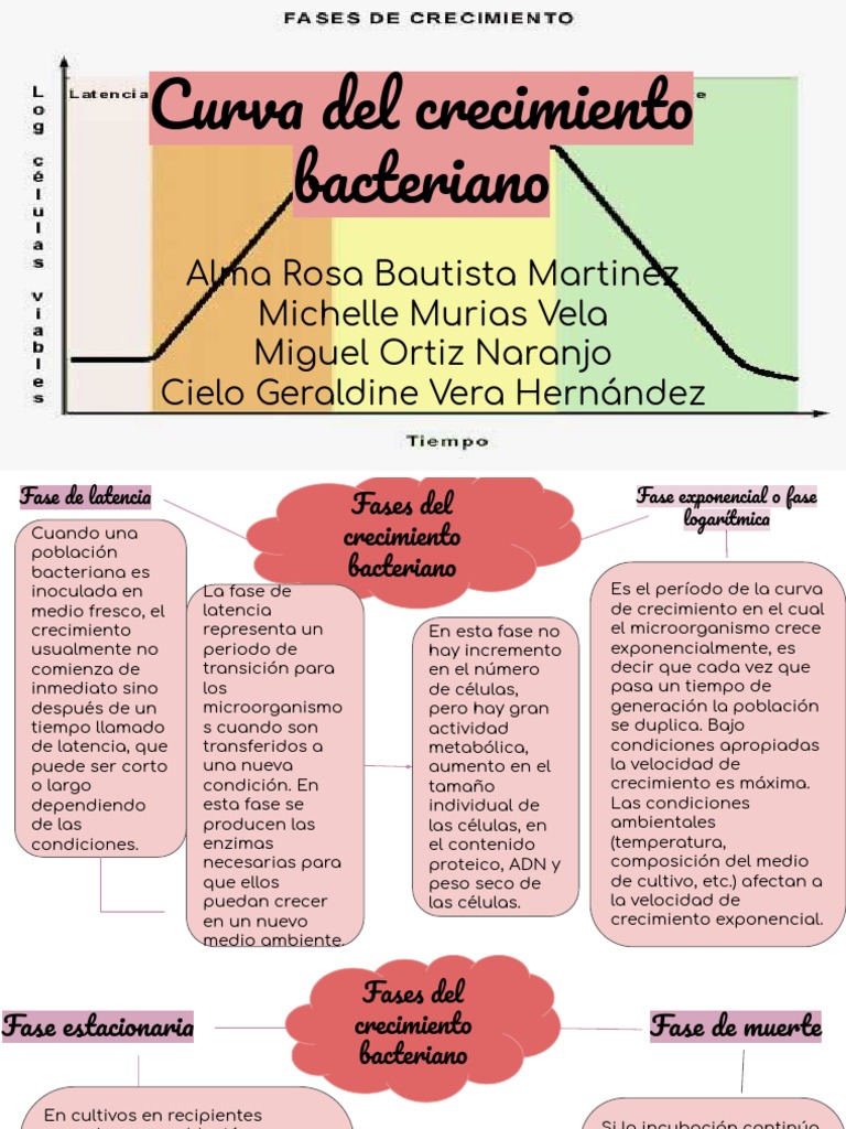 Fases del Crecimiento Bacteriano | PDF | Las bacterias | Microbiología