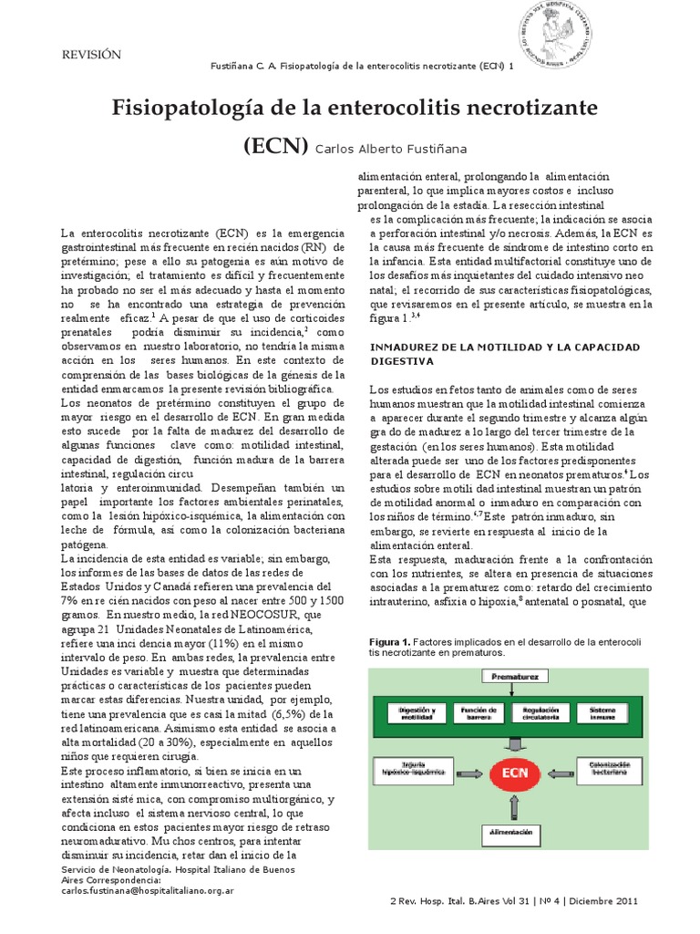 Enterocolitis Necrotizante | PDF | Sistema inmune | Inflamación