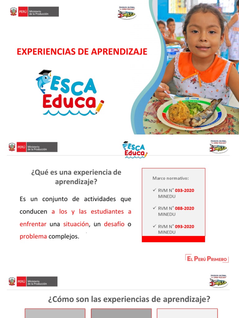 Experiencias de Aprendizaje | PDF | Aprendizaje | Evaluación