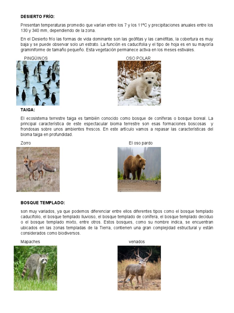 Tipos de Ecosistemas Terrestres | PDF | Selva | Desierto