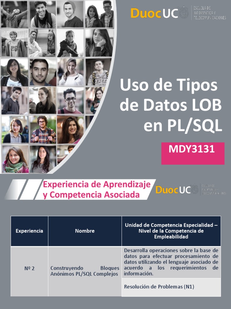 2 1 2 Usando Tipos De Datos Lob En Bloques Plsql Pdf Pl Sql Sql 