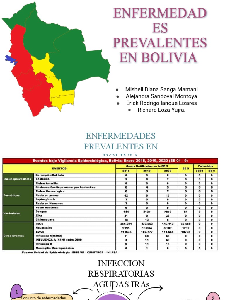 Enfermedades Endemicas en Bolivia | PDF | Neumonía | Influenza