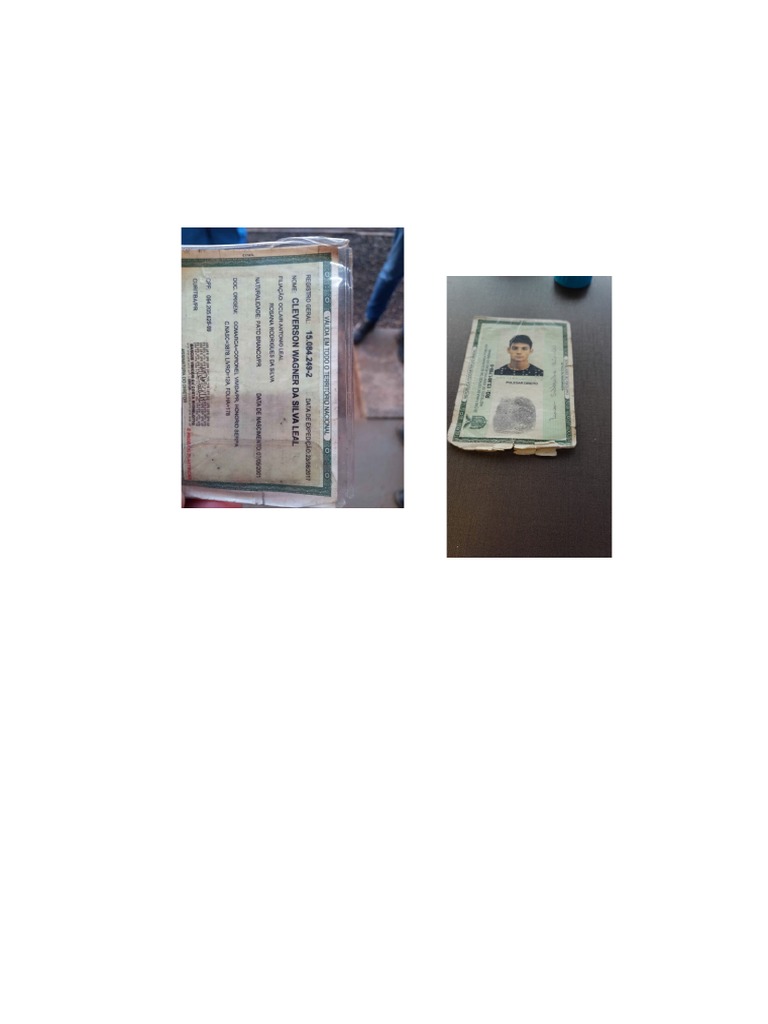 Dados RG Do Parana | PDF