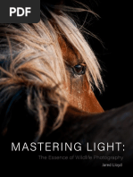 Modified Monash Model - Fact Sheet | PDF