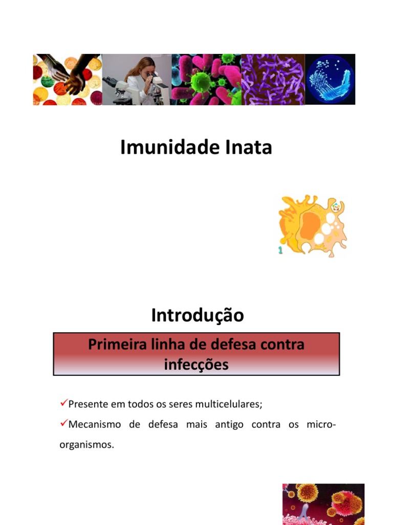 A Imunidade Inata: Primeira Linha de Defesa Contra Infecções | PDF ...