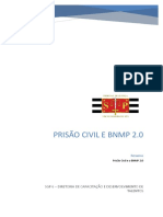 Manual Do Usuário - BNMP 3.0 | PDF | Prisão