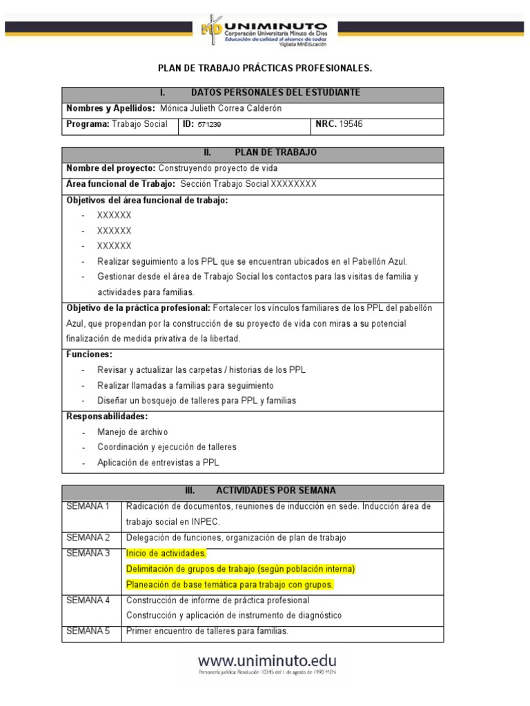Formato Plan de Trabajo Prácticas Profesionales | PDF | Trabajo Social