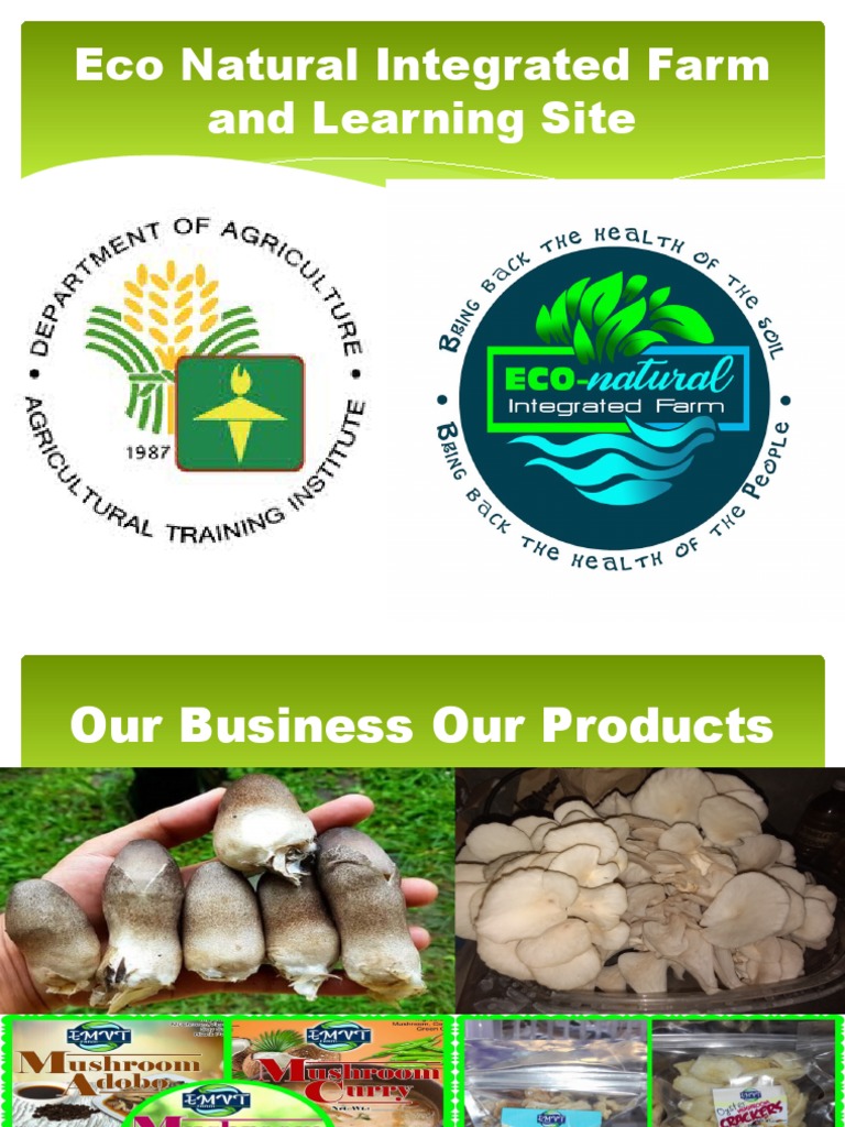 Farm Business Plan - Emvt | PDF | Agriculture | Profit (Economics)