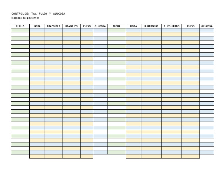 Hoja de Control Presion Arterial Y GLUCOSA | PDF