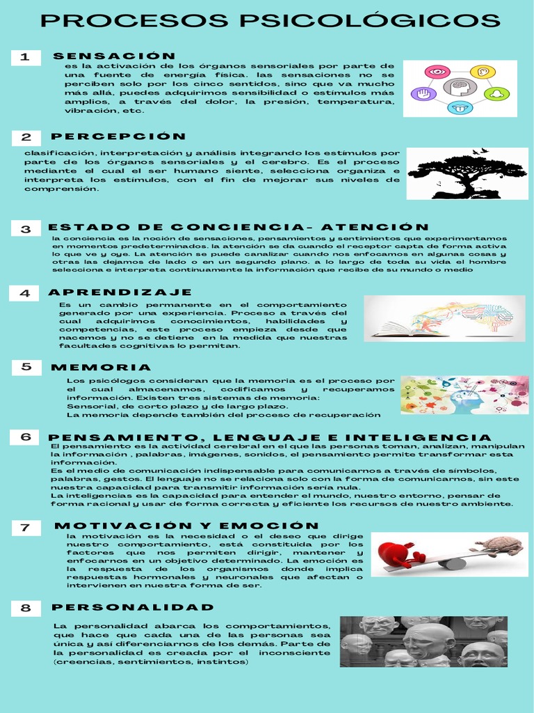 Infografía Procesos Psicológicos | PDF | Pensamiento | Memoria
