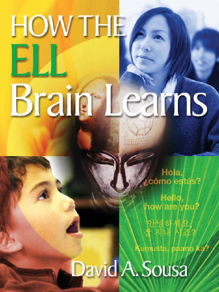 How The Ell Brain Learns | PDF | Lateralization Of Brain Function ...