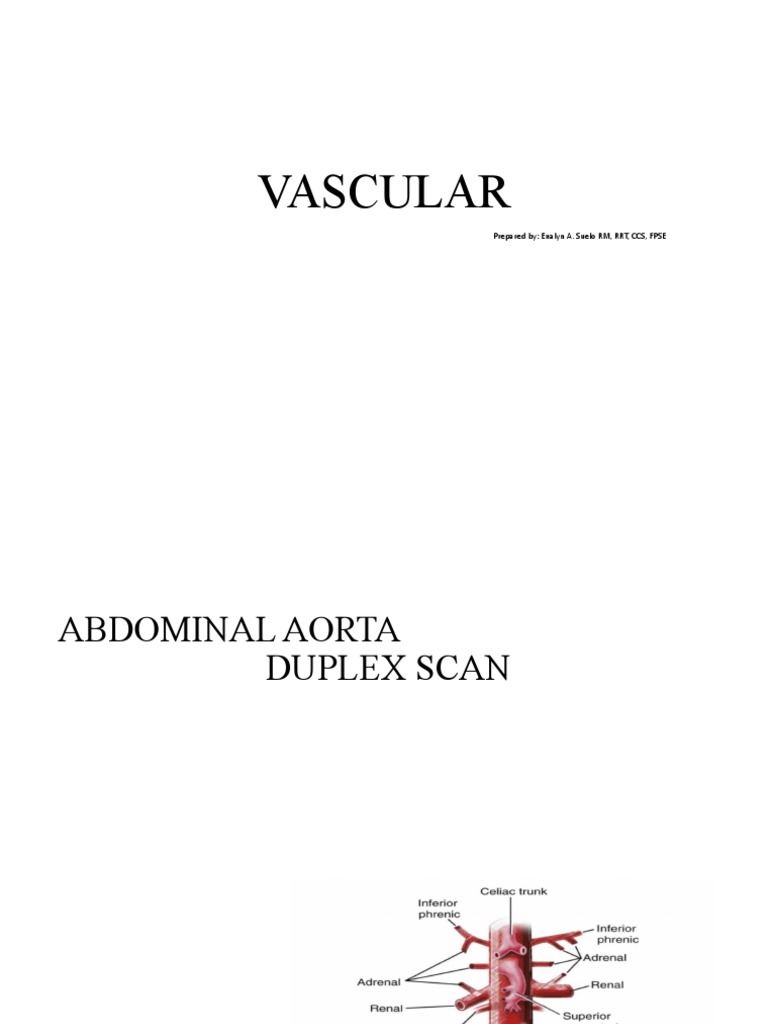 VASCULAR - Abdominal Aorta Duplex Scan | PDF | Cardiovascular System ...