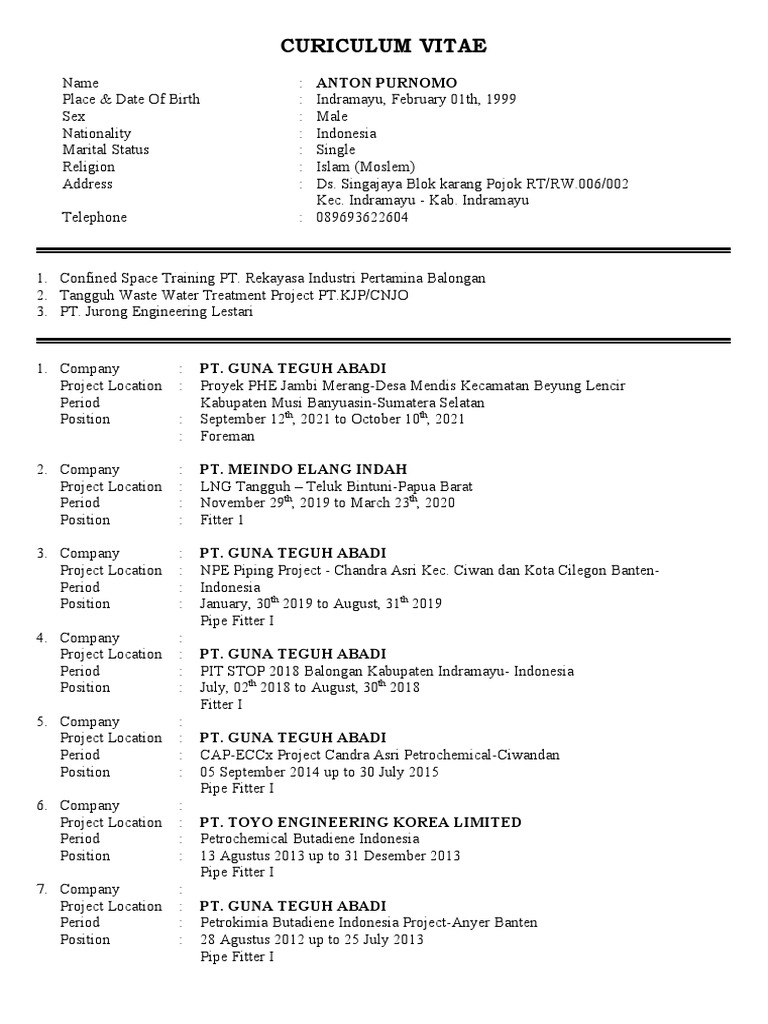 Curiculum Vitae: Pt. Guna Teguh Abadi | PDF | Indonesia