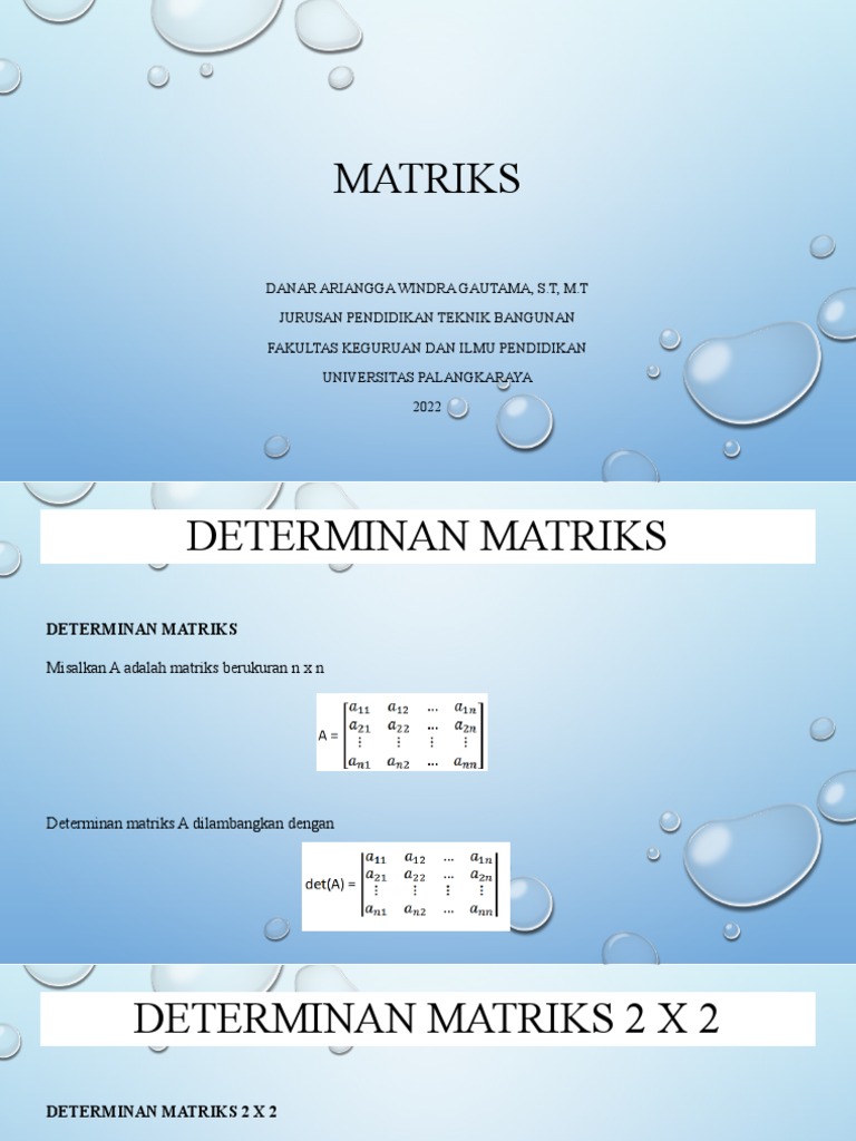 Matriks Determinan | PDF