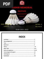 Badminton Sports Project | PDF | Racquet Sports | Athletic Sports