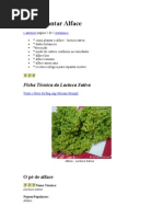 Ficha Tecnica Alface | PDF | Repolho | Alface