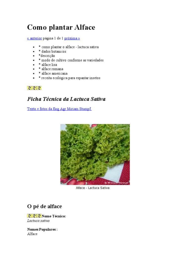 Guia Prático para Plantar Alface | PDF | Alface | Folha
