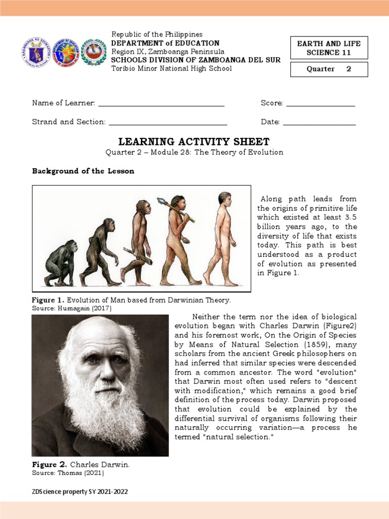 Learning Activity Sheet Sample | PDF | Charles Darwin | Evolution