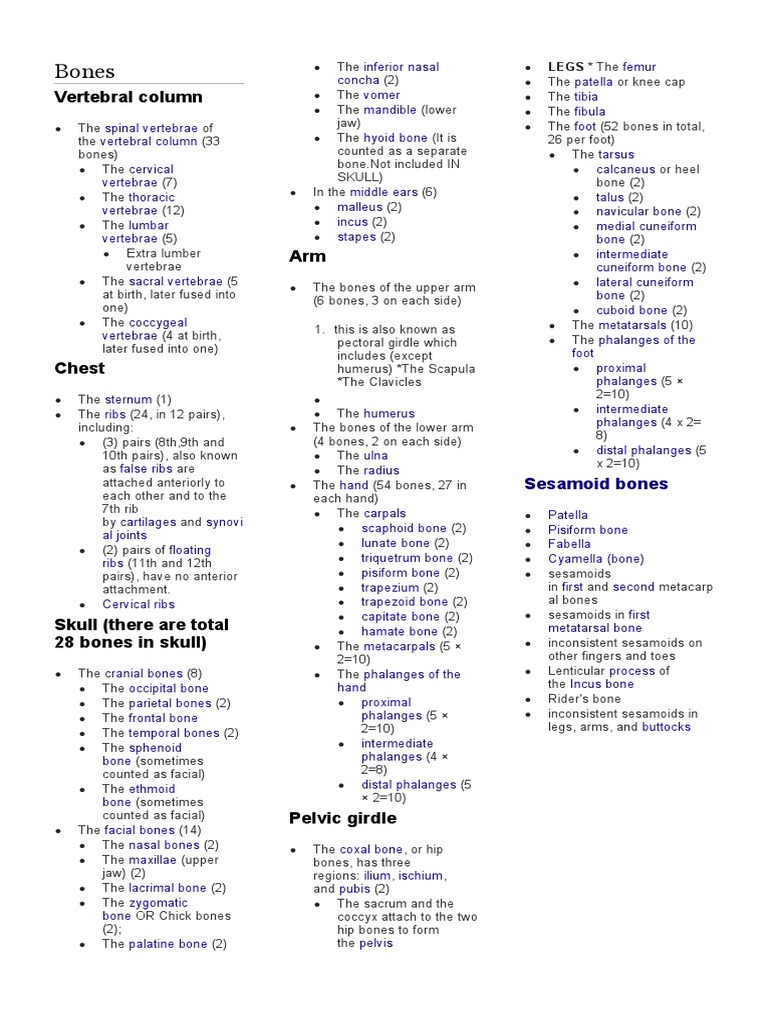 List of 206 Bones | PDF | Vertebra | Hand