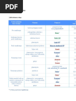 Eli Haden - Veštica Iz Škotske | PDF