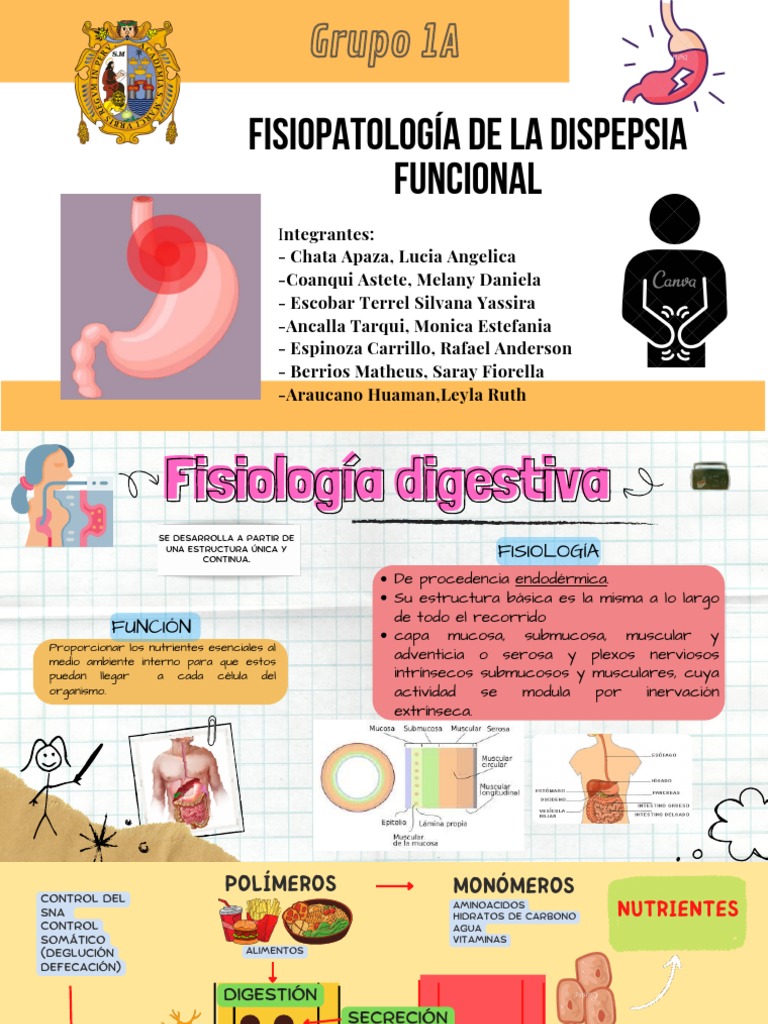 Dispepsia Funcional | PDF | Digestión | Gastroenterología