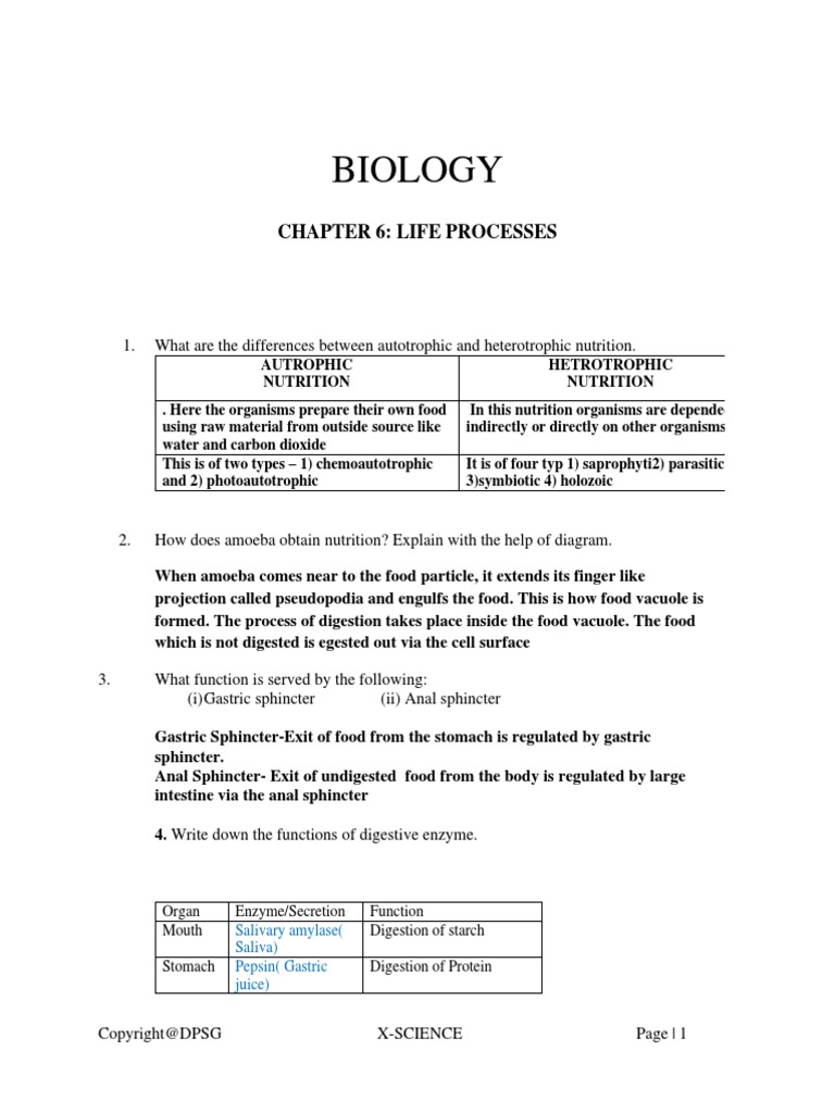 CLASS X BIO SPIRAL Student Notebook LIFE PROCESSES | PDF | Digestion ...