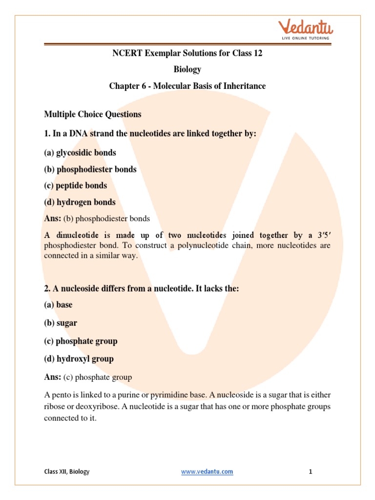 NCERT Exemplar For Class 12 Biology Chapter 6 | PDF | Operon ...