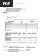 Torbay Cuff Protocol | PDF | Anatomical Terms Of Motion | Shoulder