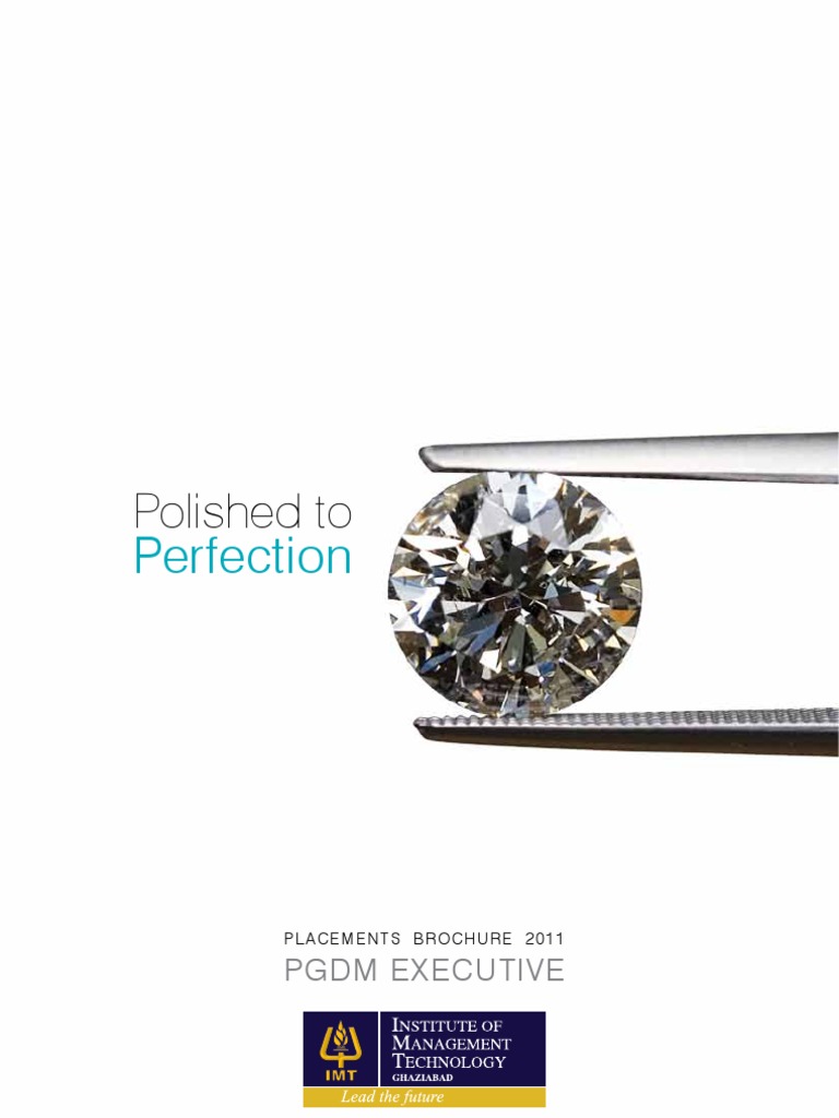 IMT Placement Brochure 2011 | PDF | Computer Network | Strategic Management