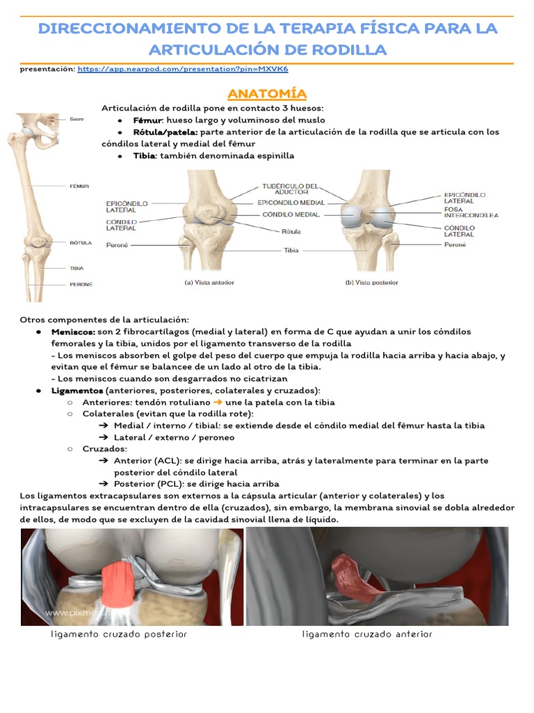 Terapia Física para La Articulación de La Rodilla | PDF | Rodilla ...