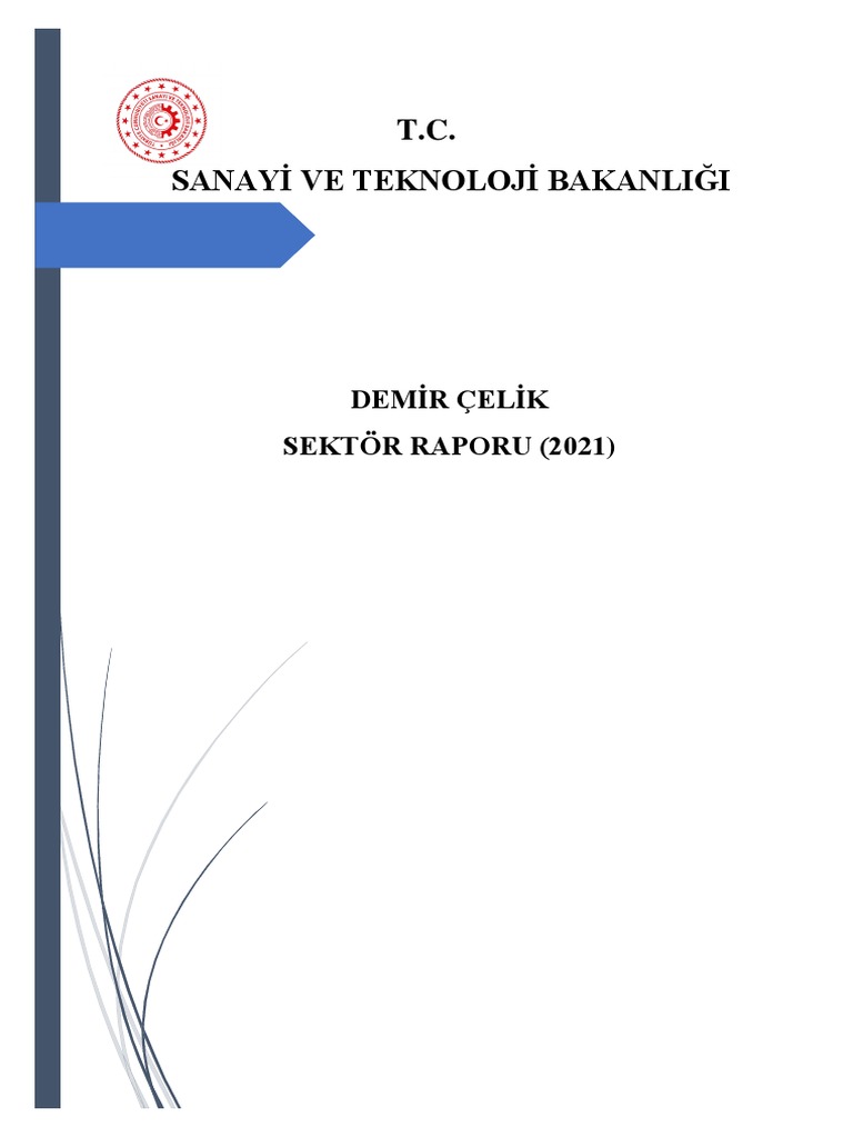 Demir Celik Sektor Raporu 2021 | PDF