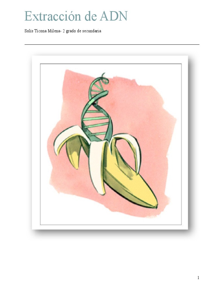 Extracción de ADN | PDF | Adn | Biología Celular)