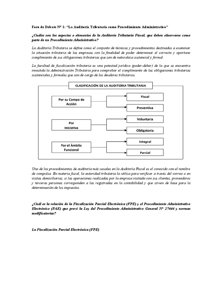 Foro de Debate N°01 | PDF | Auditoría | Gobierno