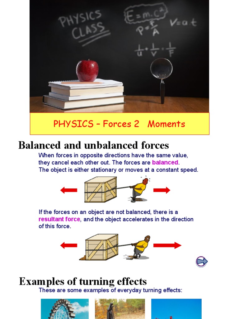 Turning On A Pivot | PDF | Force | Torque