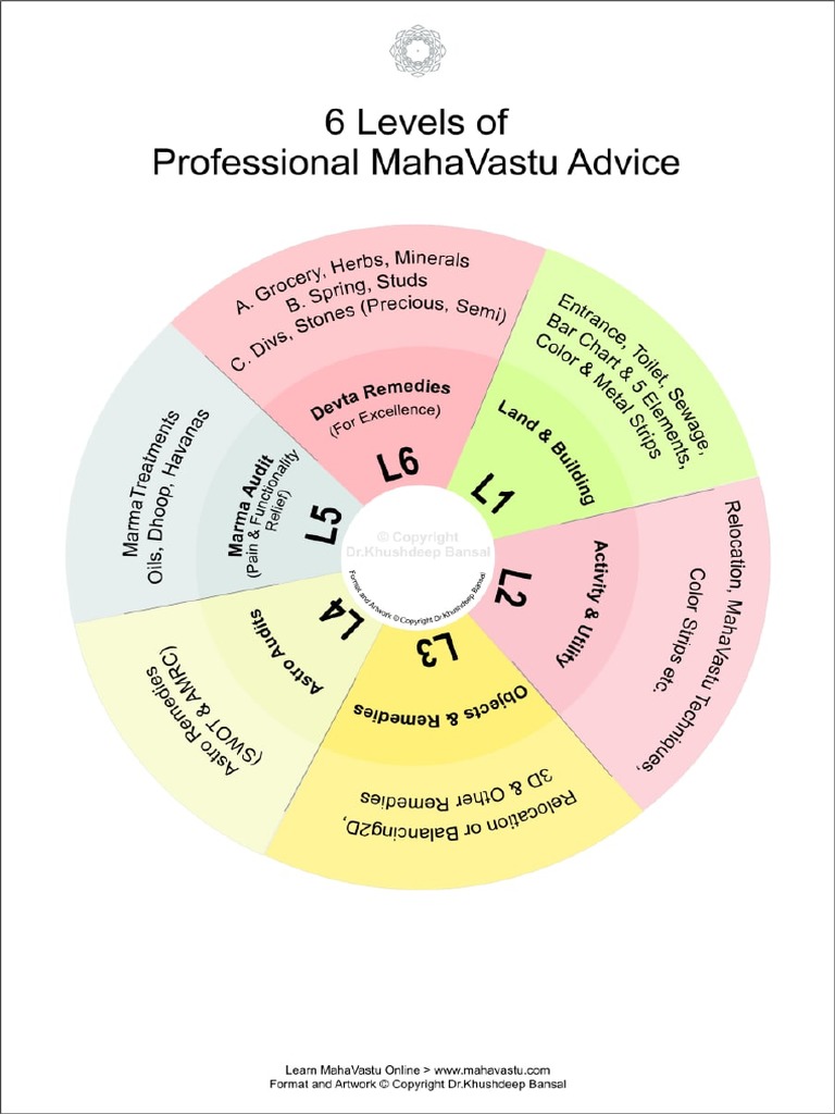 6 Levels of Professional MahaVastu Advice | PDF