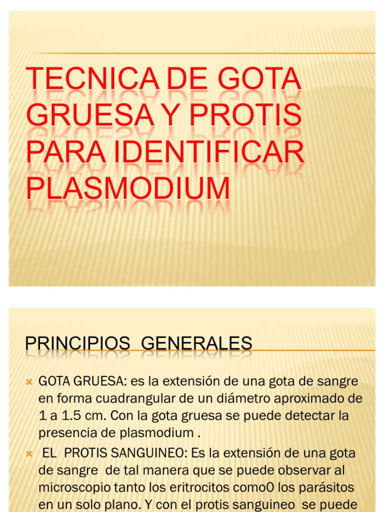 Tecnica de Gota Gruesa y Protis para Identificar | PDF