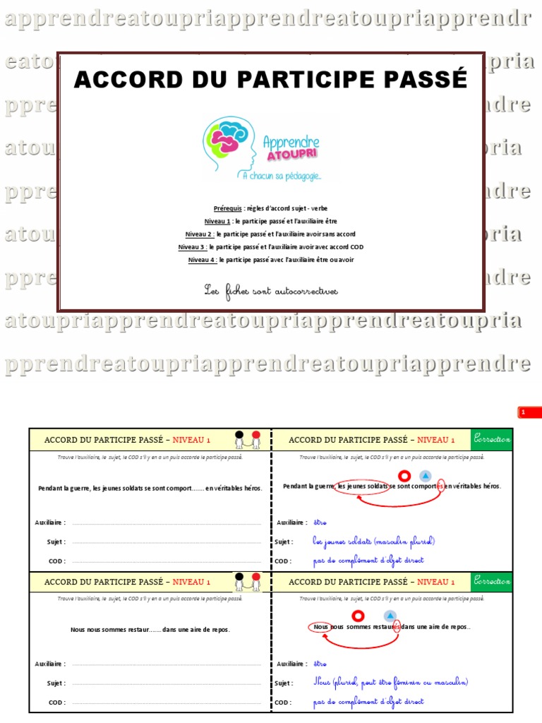 Accord du participe passé : Niveau 1 | PDF | Sujet (Grammaire) | Nombre ...
