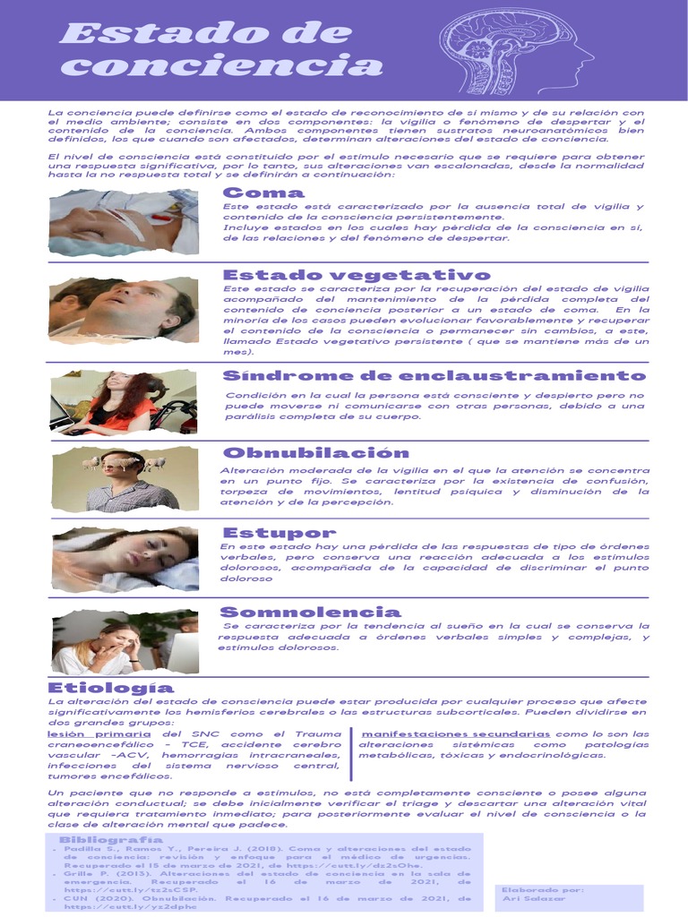 Estados De Conciencia Pdf Coma Conciencia