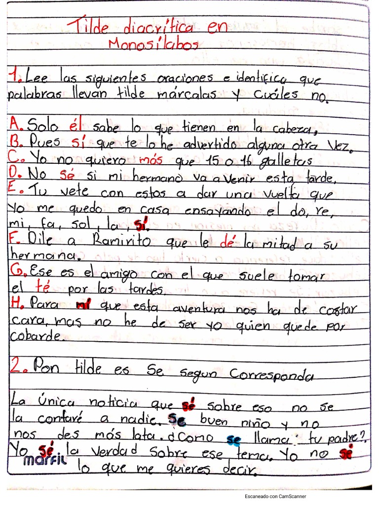 Uso de La Tilde Diacrítica en Monosílabos | PDF