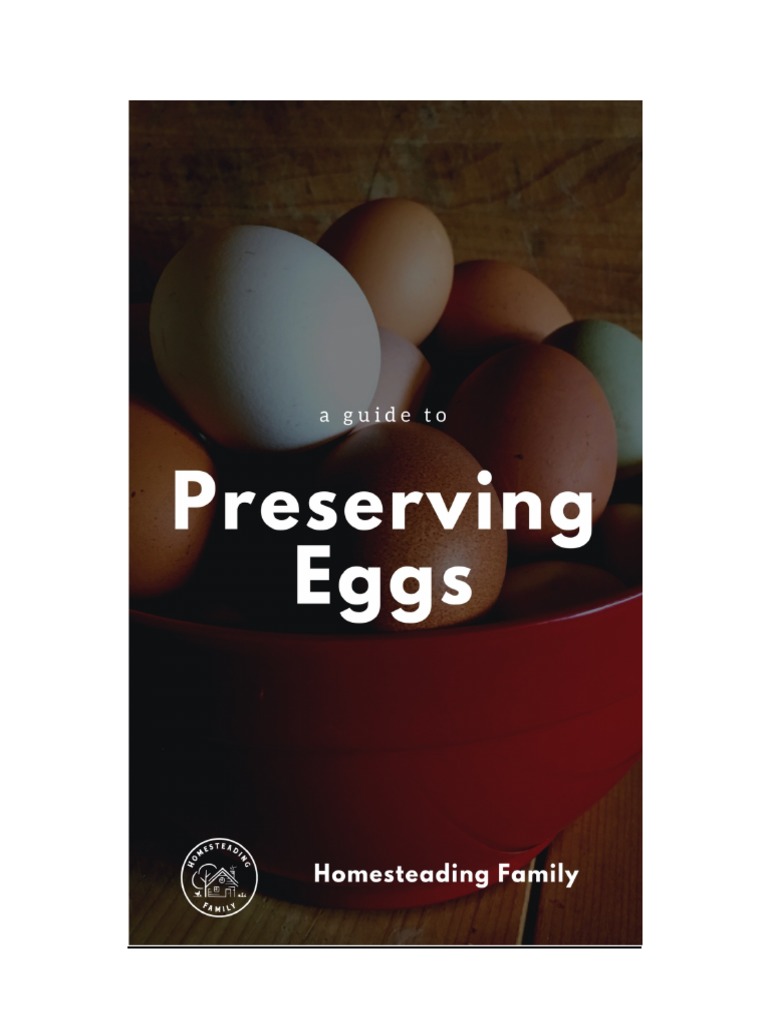 A Guide To Preserving Eggs | PDF | Egg As Food | Pasta