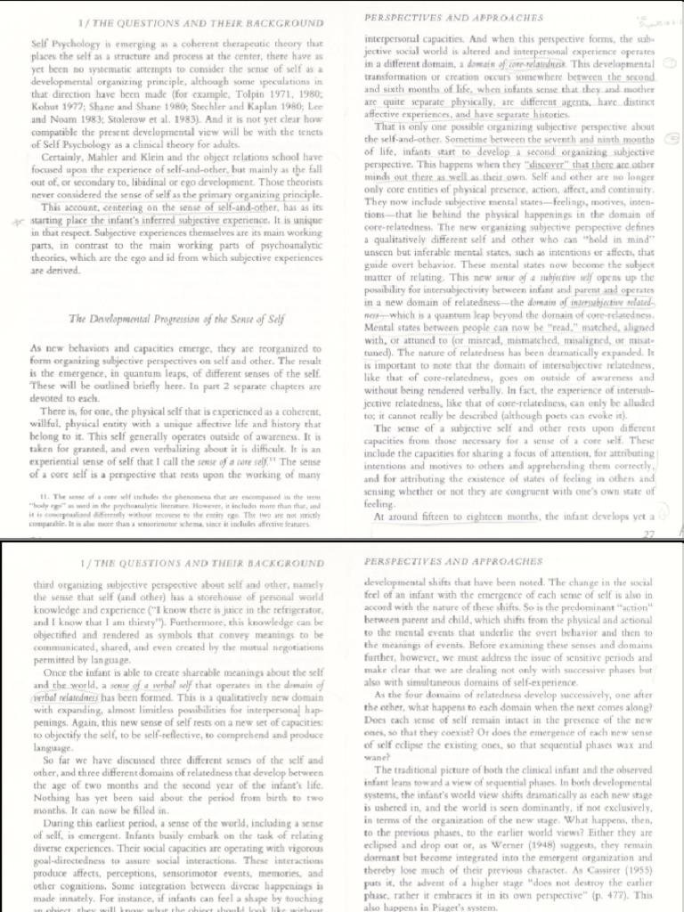 The Interpersonal World of The Infant - Daniel N. Stern 26-65 | PDF