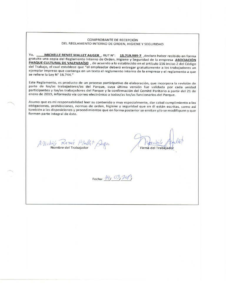 Comprobante de Recepción Michele Mallet | PDF